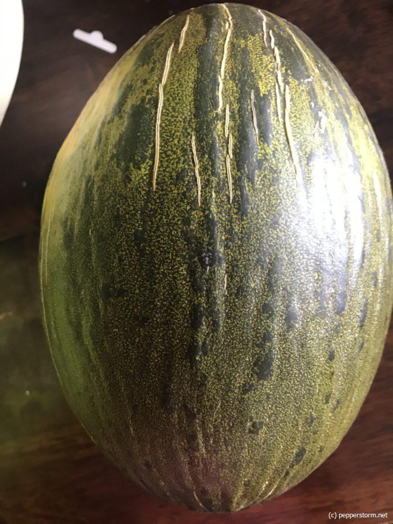 Melone Baby | Pepperstorm alles rund um Fitness Lifestyle Beauty und ...